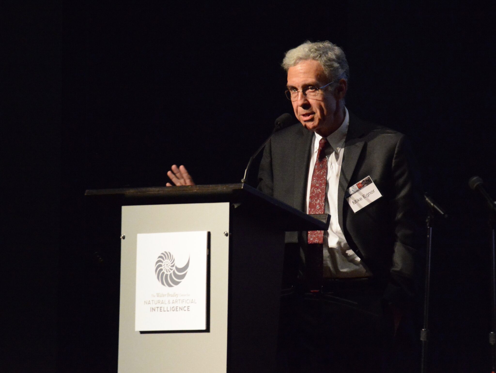 Bernardo Kastrup Argues for a Universal Mind as a Reasonable Idea ...