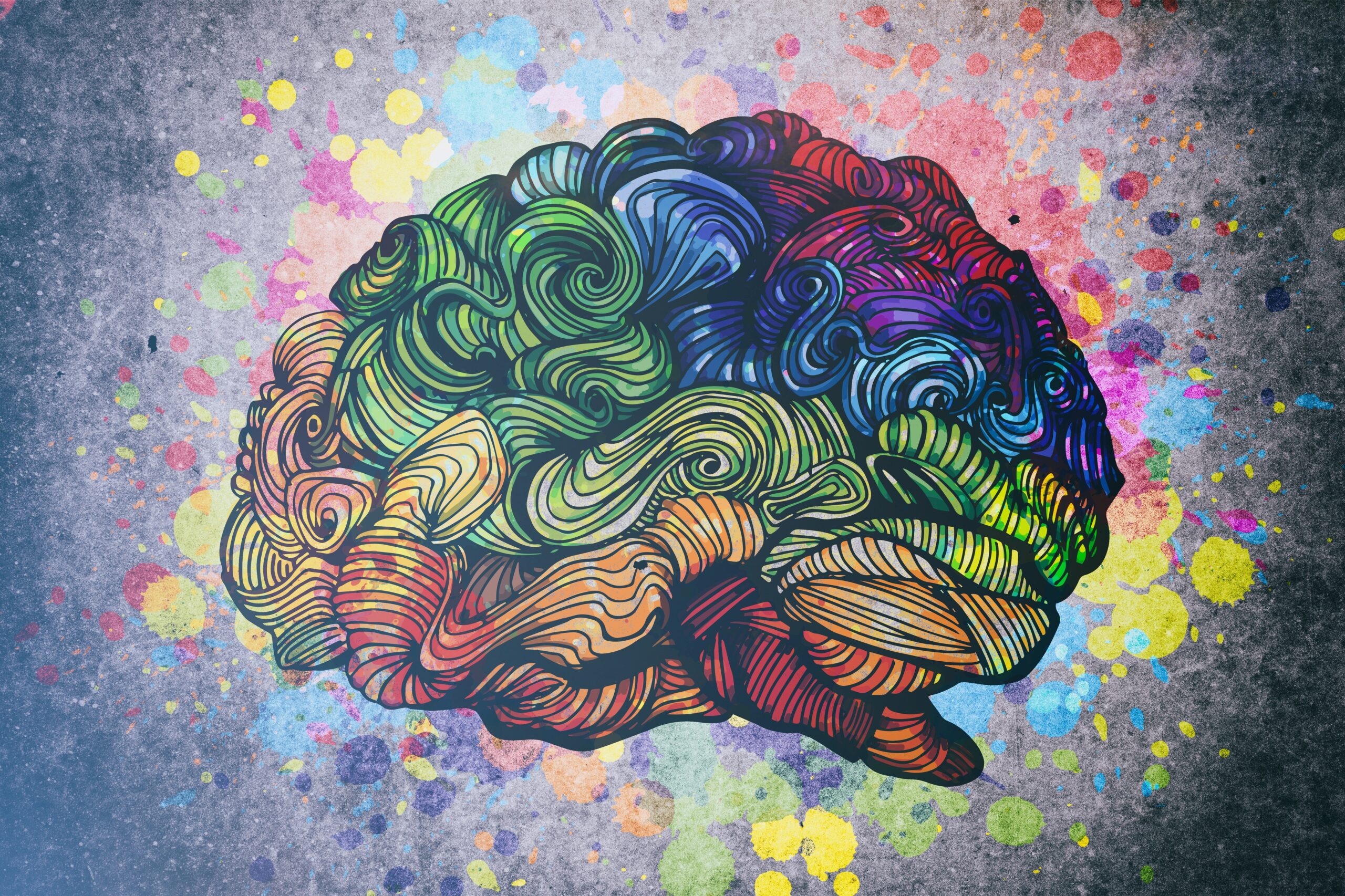 Your Mind vs. Your Brain: Ten Things To Know | Mind Matters