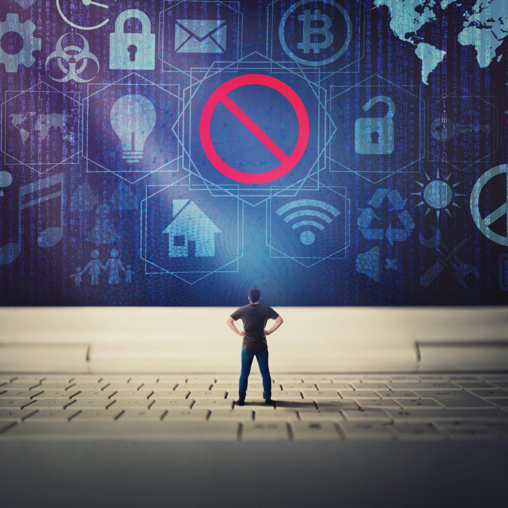 What Do Government Efforts to Control the Internet Look Like? | Mind ...