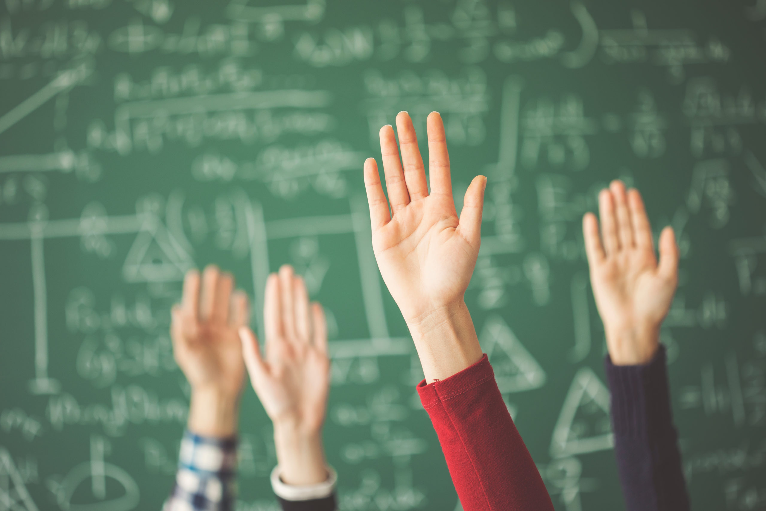 What Do We Want With Mathematics Curriculum MadMath