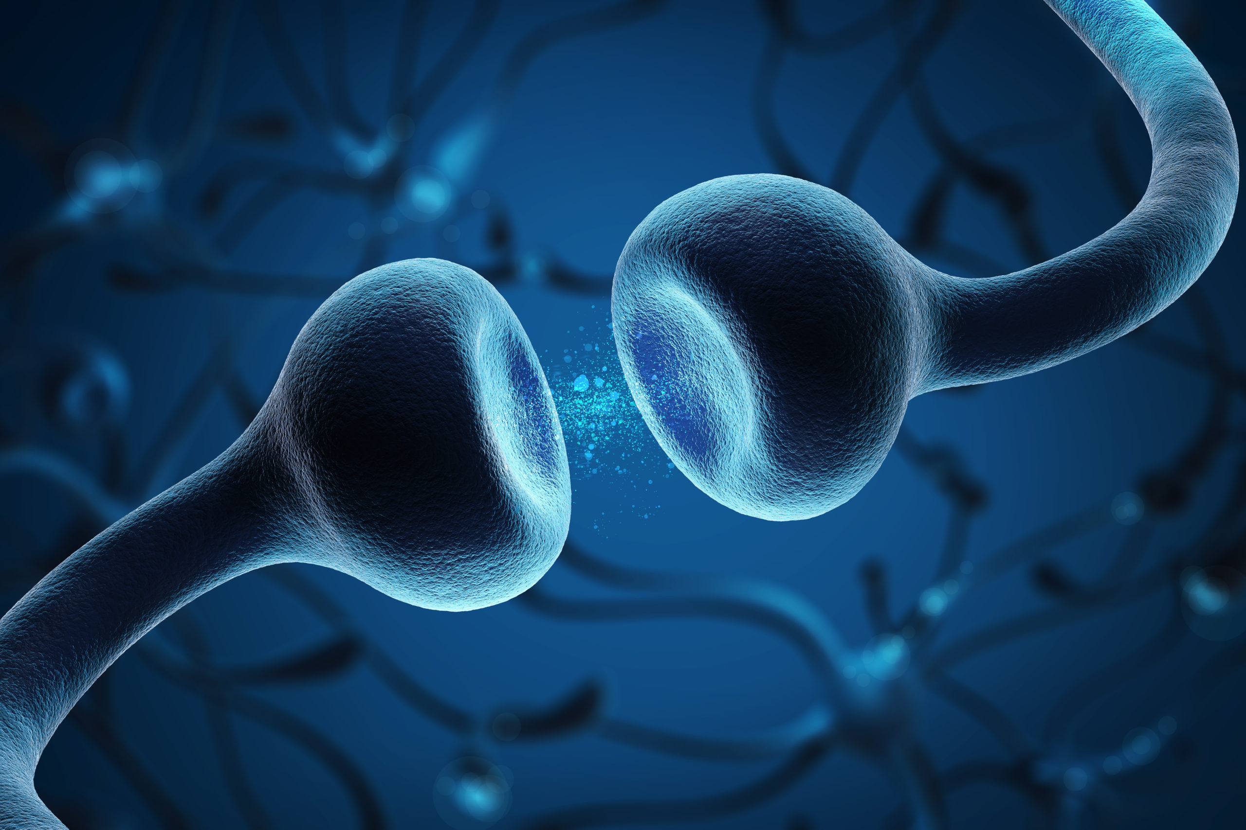 Our Neurons’ Electrical Synapses Are the Dark Matter of the Brain ...