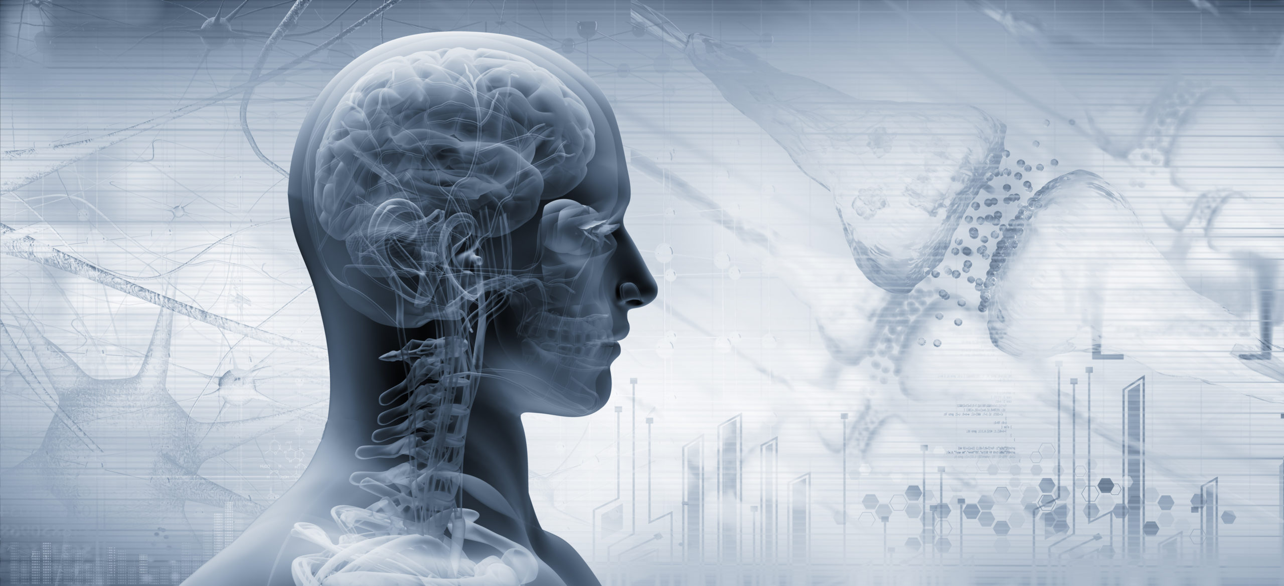 Researchers: Humans Process Information Differently From Monkeys | Mind ...