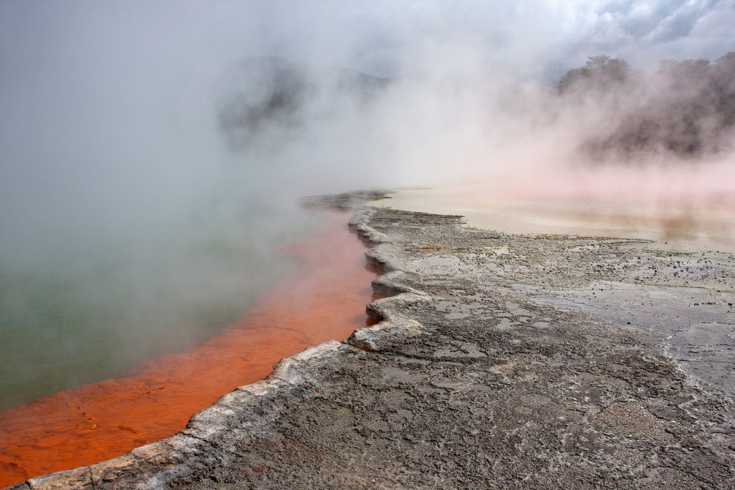 Earth’s Weirdest Life Forms Show That ET Life Is Possible | Mind Matters