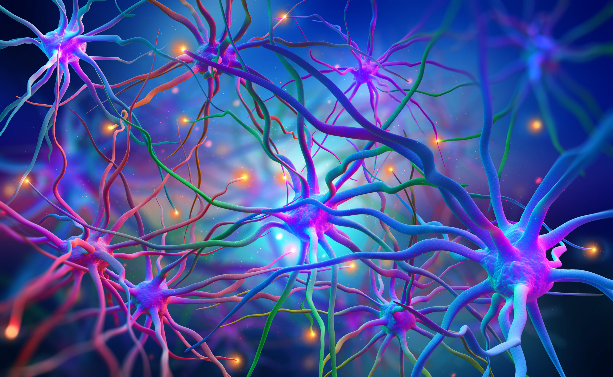 Rats with Human Brains? The Real Story About Brain Organoids | Mind Matters