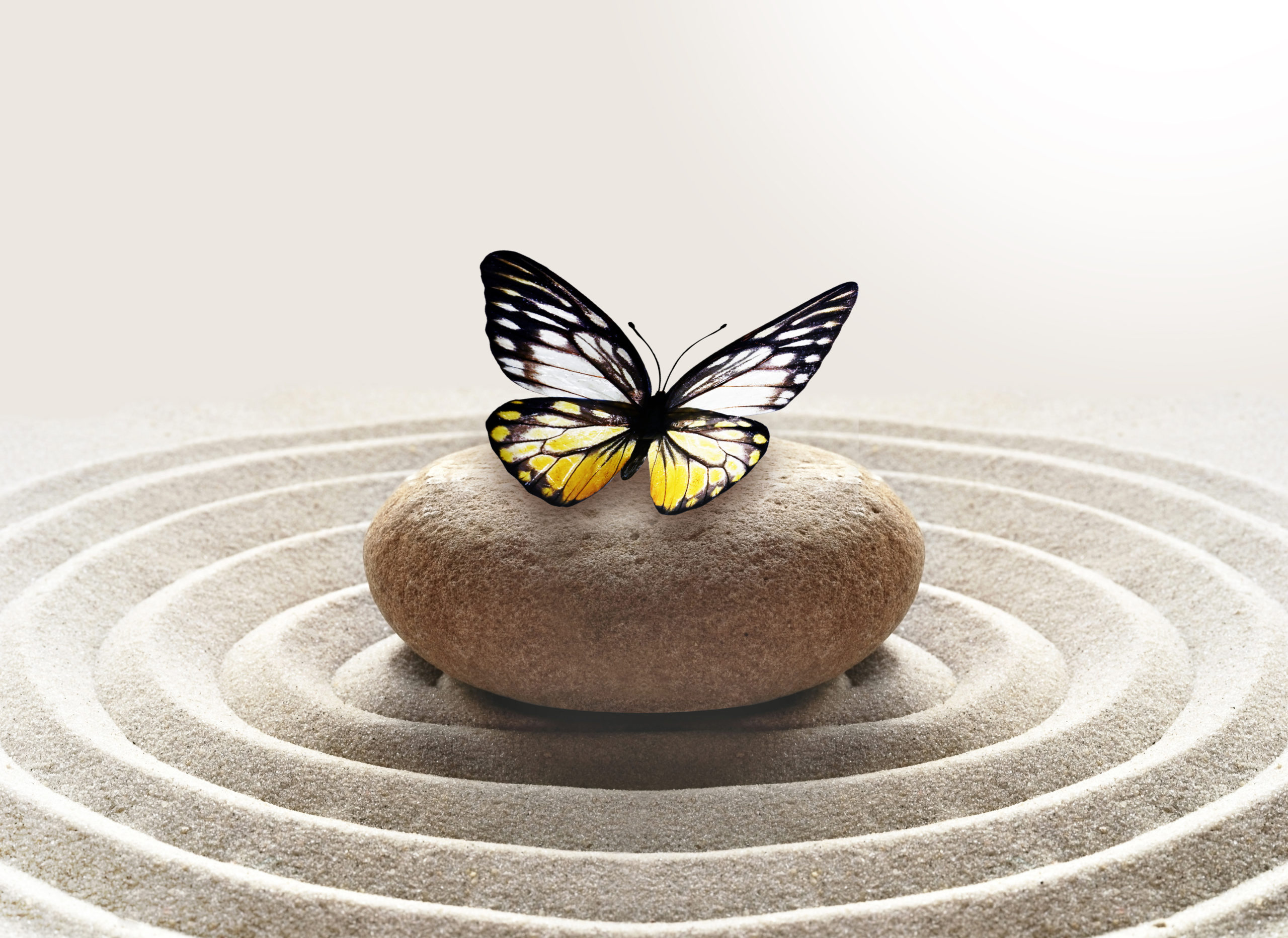 Philosopher: I Accept Dualism But Don’t Believe in the Soul | Mind Matters