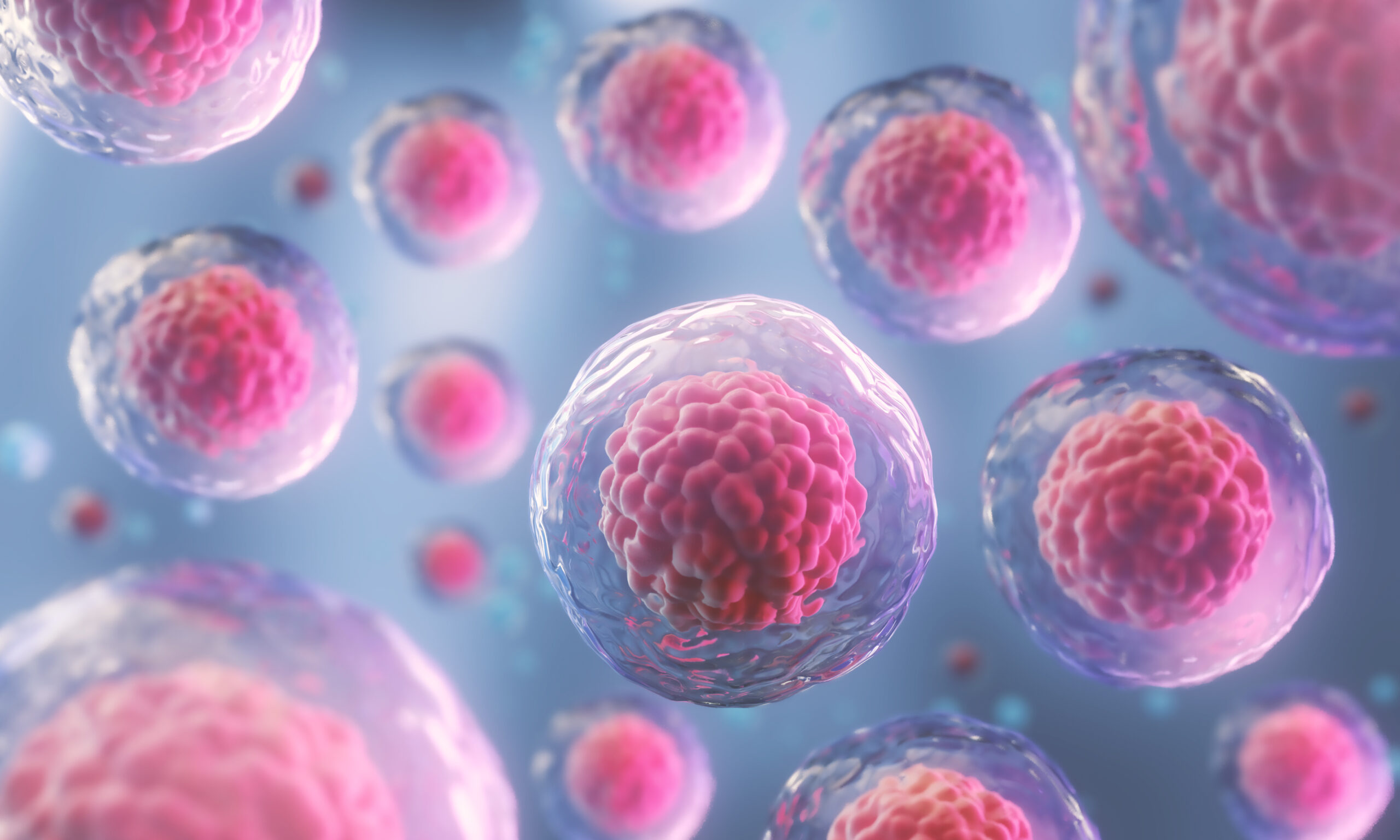 Scientists Close to Creating Human Embryos from Stem Cells | Mind Matters