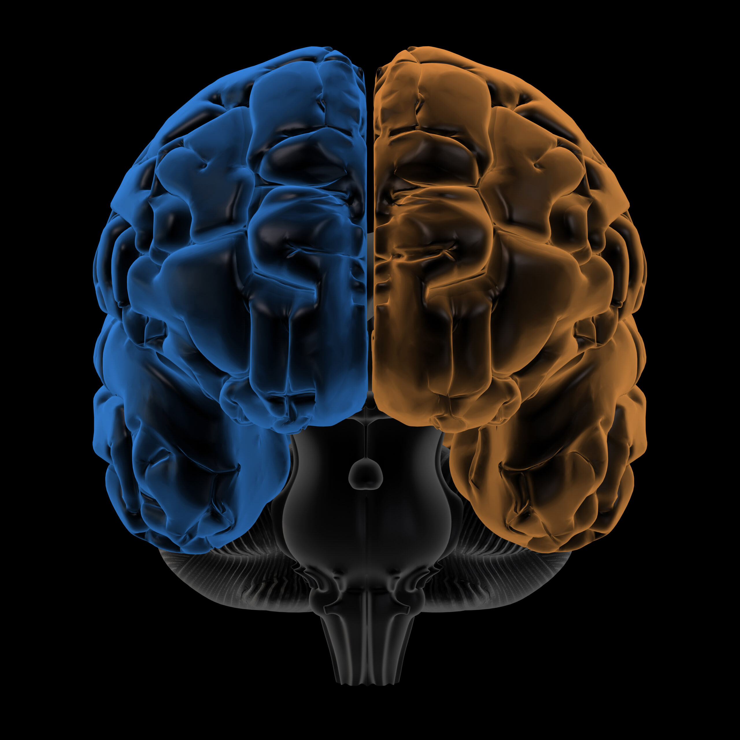 How Can We Know If Patients With Split Brains Have a Single Mind ...