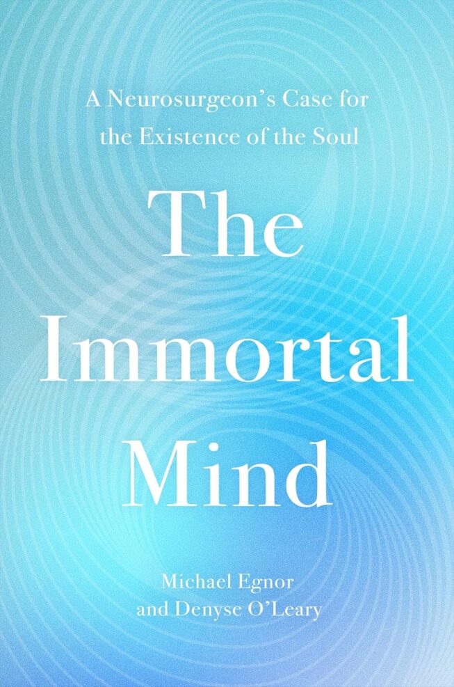 Does the Mind Have a Specific Location in the Brain? | Mind Matters