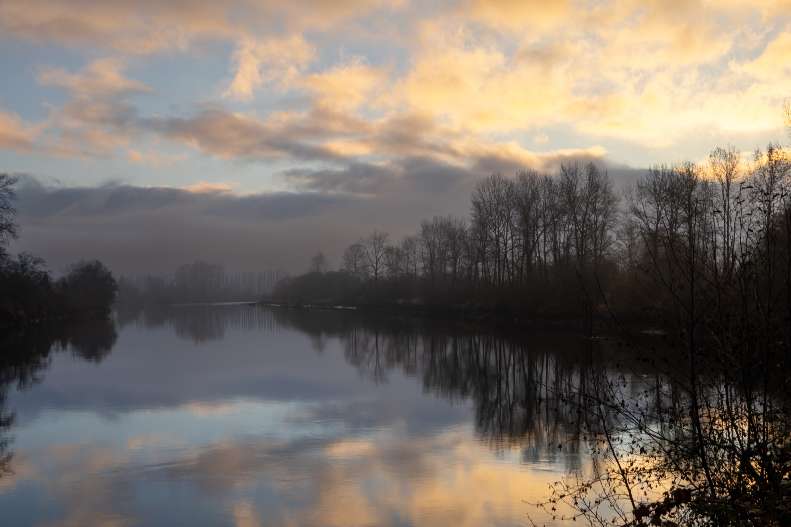 Voters Grant Rights to a River in Everett, Washington | Mind Matters