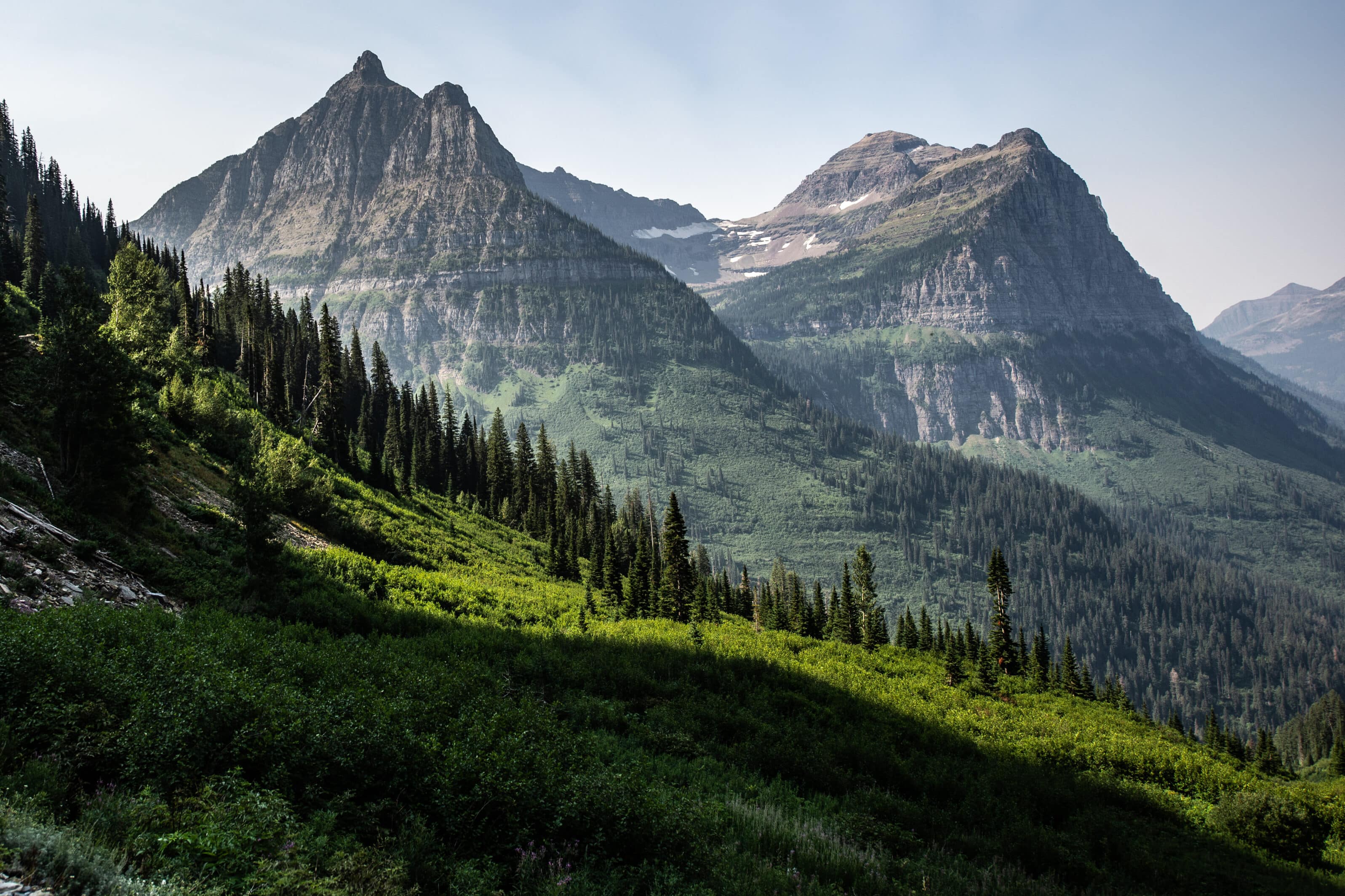 Monday Micro Softy 35: A House With a View | Mind Matters