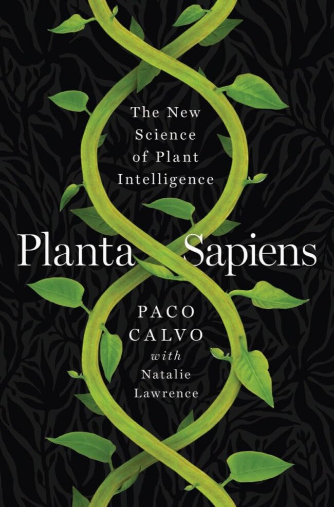 Consciousness in Plants Rebrands an Exploded Materialism | Mind Matters